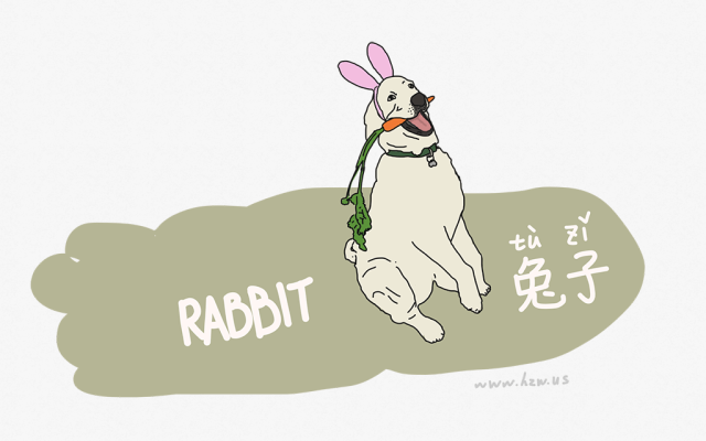 Rabbit = 兔子 [tù zǐ] – Hua Zhong Wen ★ Draw Chinese